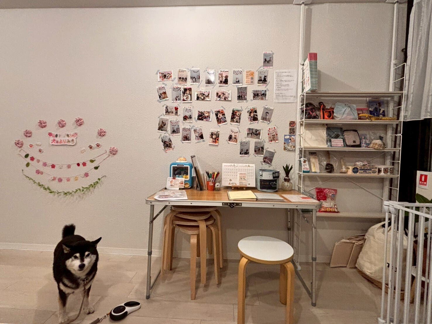 灘区の隠れ家スペース｜犬と一緒に過ごせる小さな空間の写真3
