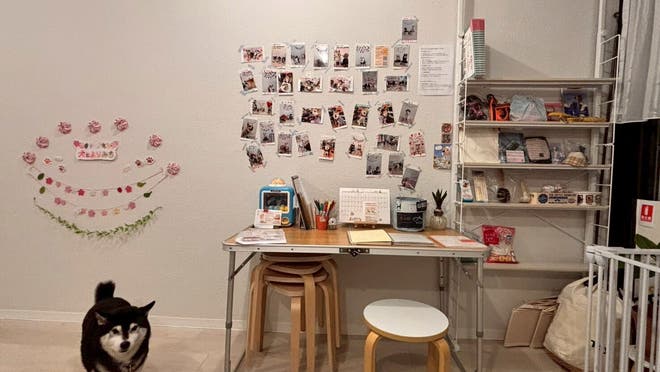 灘区の隠れ家スペース|犬と一緒に過ごせる小さな空間の写真3