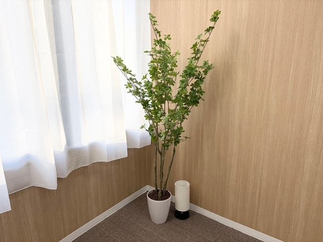 🌿西中島南方駅徒歩1分30秒｜声を出せる朝の個室✨｜自然光｜ナチュラル北欧風｜会議・商談・朝活・テレワーク｜新大阪から一駅の写真18