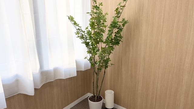 🌿西中島南方駅徒歩1分30秒|声を出せる朝の個室✨|自然光|ナチュラル北欧風|会議・商談・朝活・テレワーク|新大阪から一駅の写真18