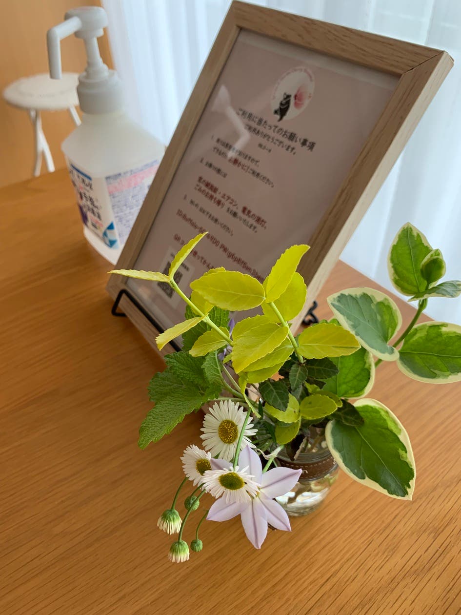 引越ししました！お友達とのひとときや女子会、オフ会、お誕生日会、勉強会やお仕事にも。 有意義で心地よい時間をお過ごしください。の写真19