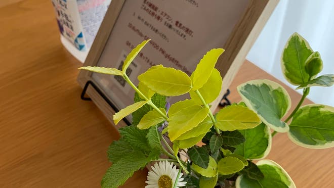 引越ししました!お友達とのひとときや女子会、オフ会、お誕生日会、勉強会やお仕事にも。 有意義で心地よい時間をお過ごしください。の写真19