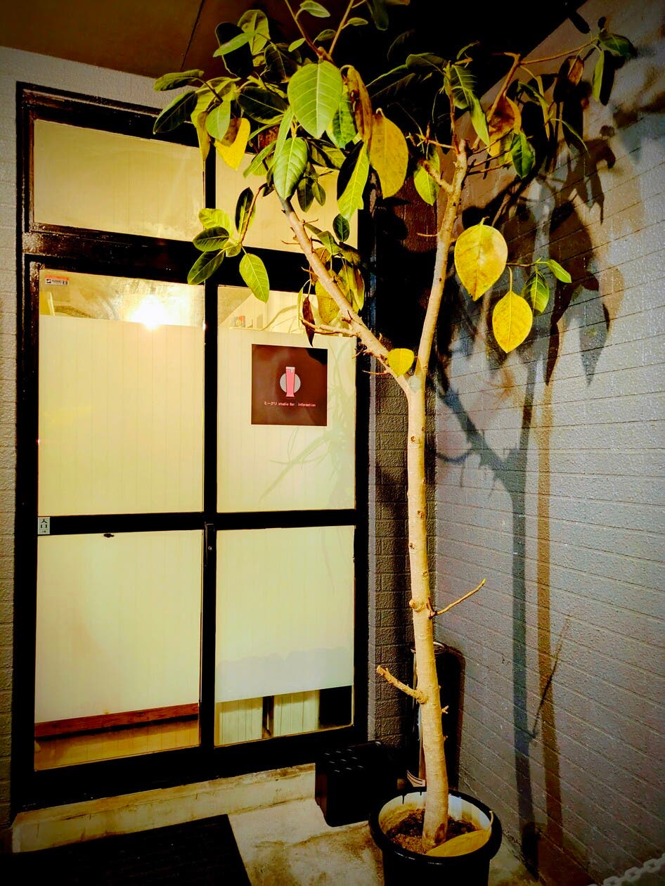 名古屋駅から車で約5分！アイドルライブ、弾き語り、演劇などもできる照明音響完備のスタジオ！の写真19