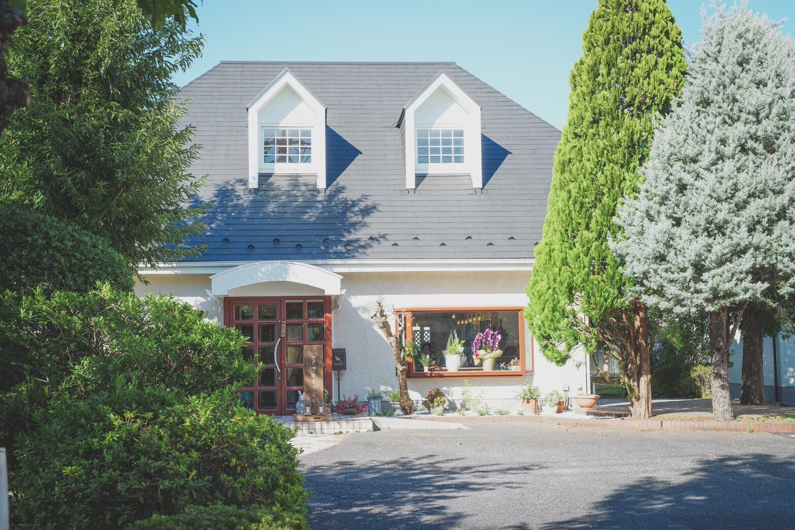 【柏の葉キャンパス駅付近】自然光の入るカフェ☕ロケ・CM・スタジオ撮影📸商品撮影・物撮り・広告撮影🎥ポートレート・MV🍃の写真14