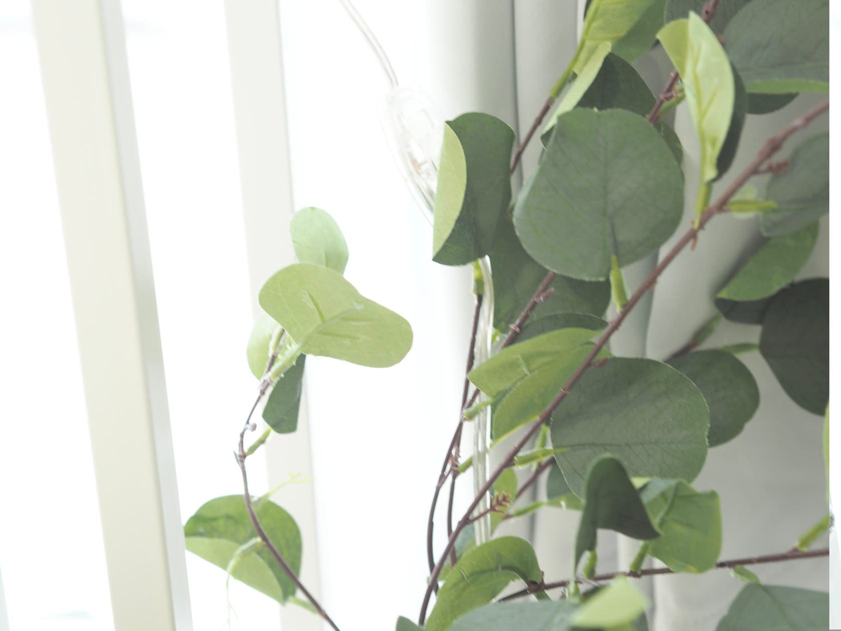 【名古屋駅５分】2026年4月OPEN｜韓国風ホワイト空間＋グリーンが映える完全個室レンタルサロン｜🛜の写真9