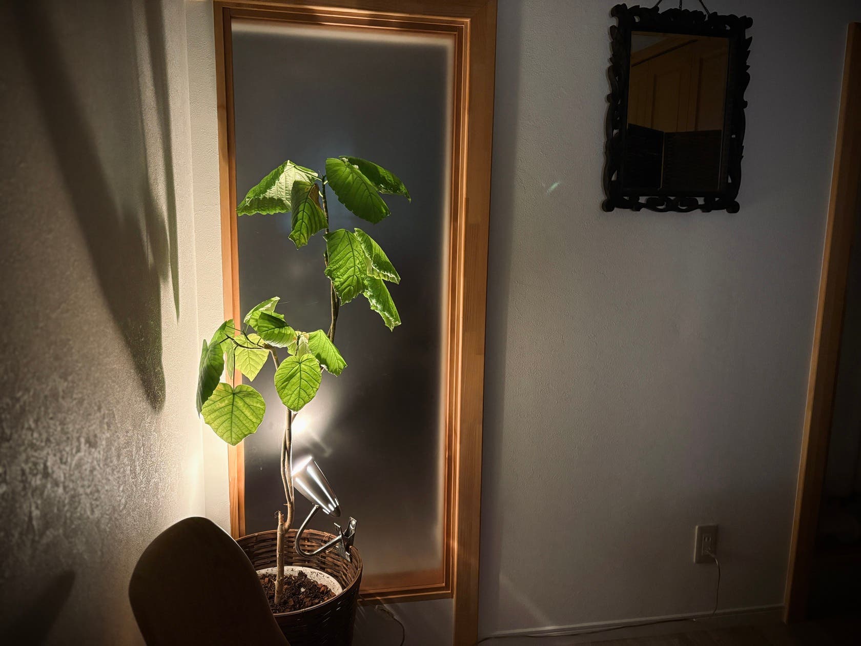 【エステルーム本館】2025.4リニューアル岩倉駅近♪駐車場有✨ブラウンを基調としたナチュラル空間☆くつろぎ空間🛜の写真19