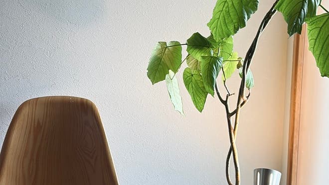 【エステルーム本館】2025.4リニューアル岩倉駅近♪駐車場有✨ブラウンを基調としたナチュラル空間☆くつろぎ空間🛜の写真9