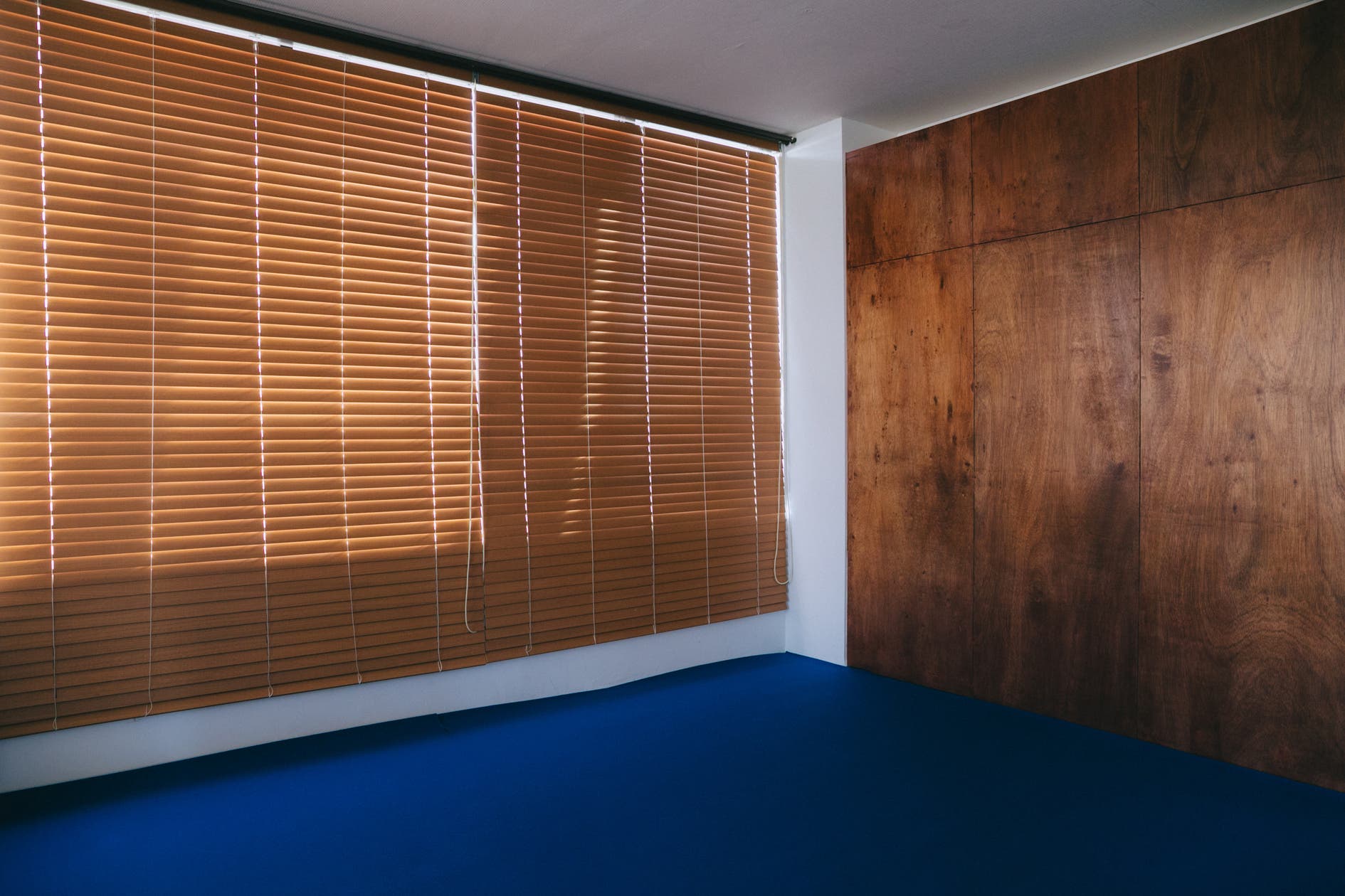 【 圧倒的自然光!! 】 南向き窓・白壁・モルタル床・本格無料機材・奥行き8m ・フローリング【駅近！大田区馬込駅2分】の写真18