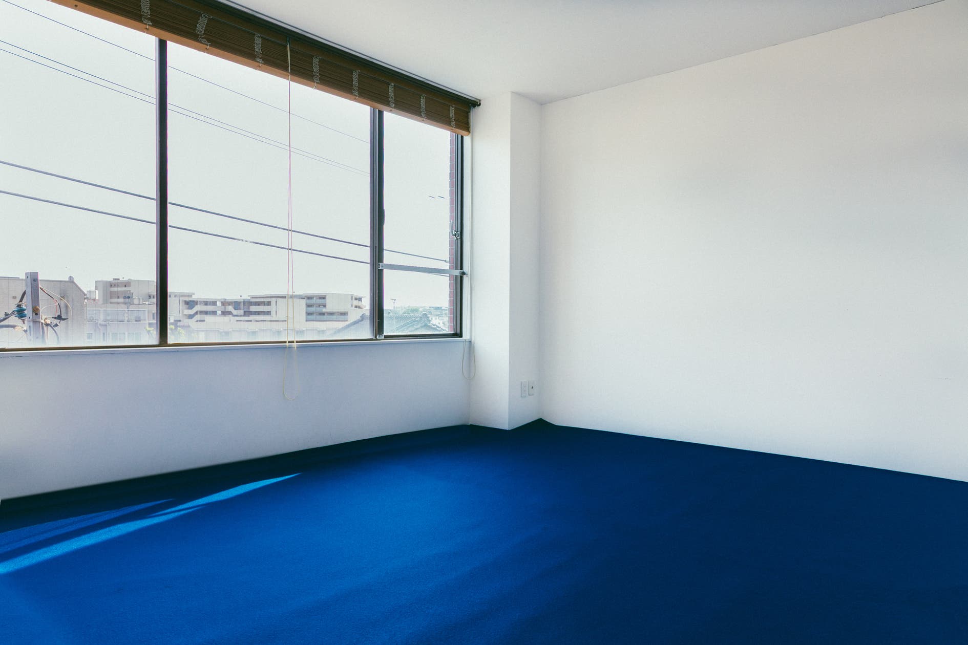 【 圧倒的自然光!! 】 南向き窓・白壁・モルタル床・本格無料機材・奥行き8m ・フローリング【駅近！大田区馬込駅2分】の写真5