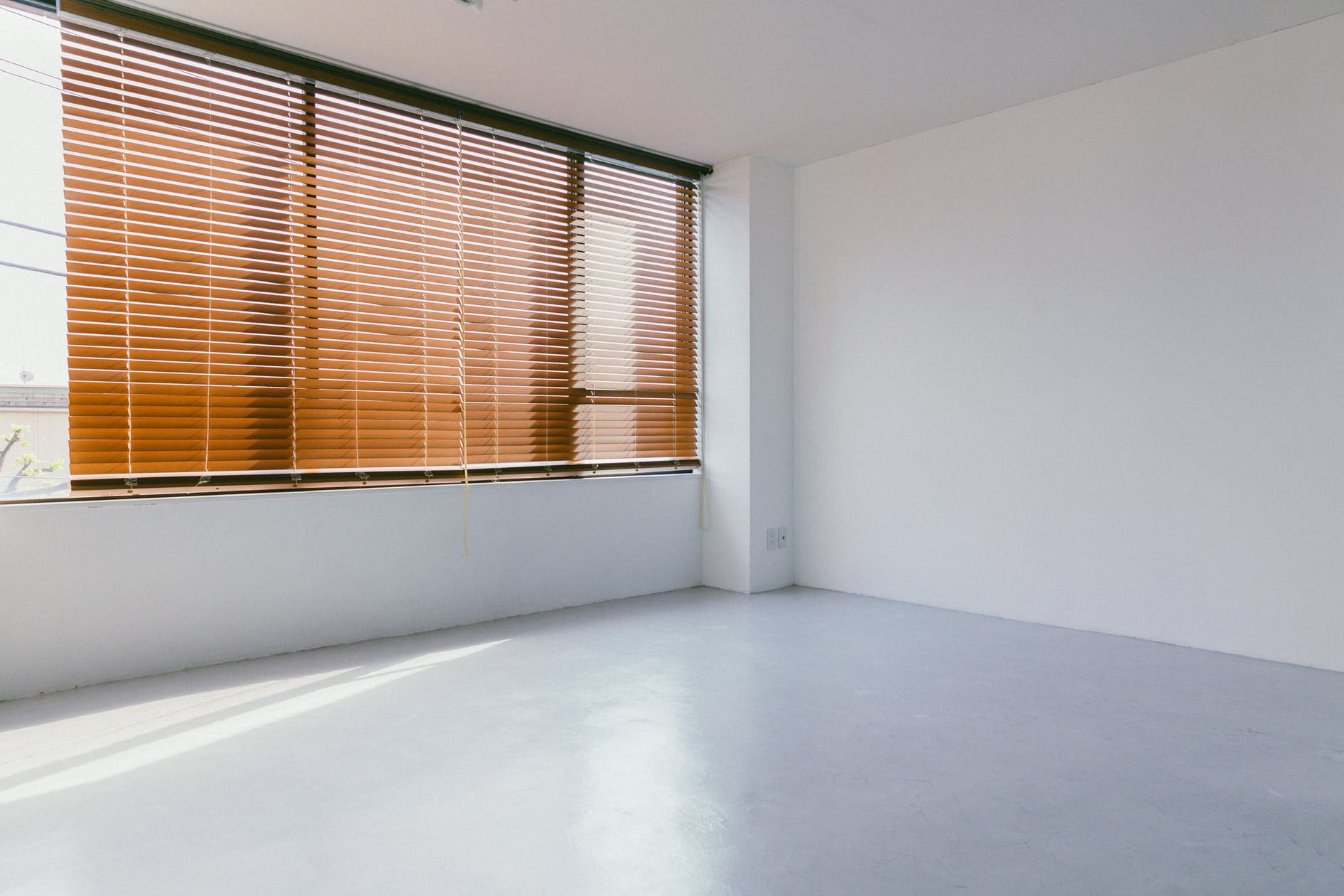 【 圧倒的自然光!! 】 南向き窓・白壁・モルタル床・本格無料機材・奥行き8m ・フローリング【駅近！大田区馬込駅2分】の写真4