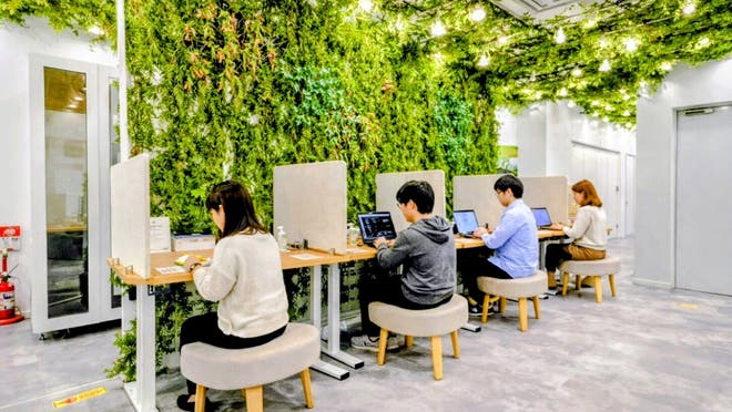 【東白楽駅徒歩3分|24時間営業|1Cブース】カウンター席/高速Wi-Fi/電源・充電/テレワーク・作業・勉強・休憩等の写真14