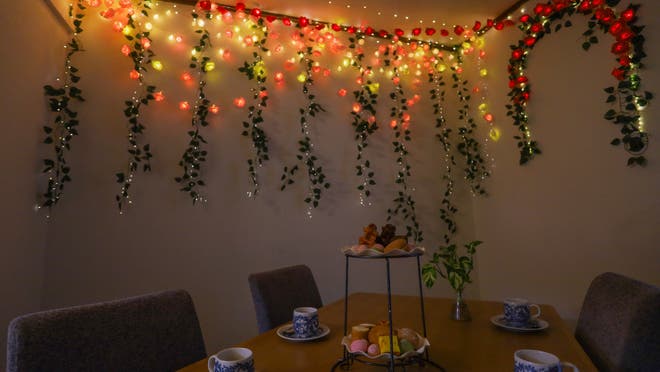 🌟【金山駅徒歩3分】💗ローズガーデンイルミネーション🌹✨声で点灯!誕生日・女子会・推し活・撮影に💖キッチン&夜景もの写真4