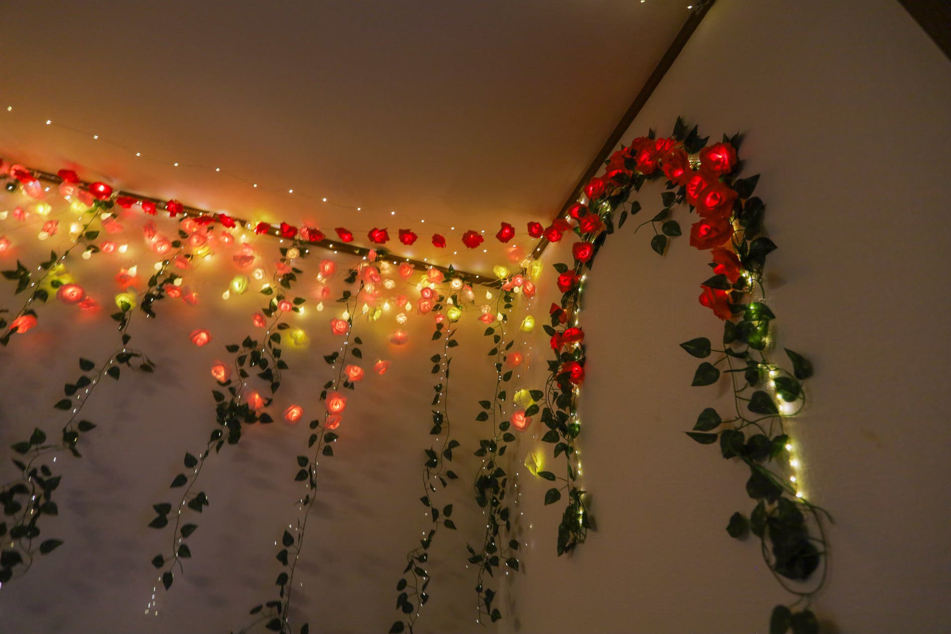 🌟【金山駅徒歩3分】💗ローズガーデンイルミネーション🌹✨声で点灯！誕生日・女子会・推し活・撮影に💖キッチン&夜景もの写真5