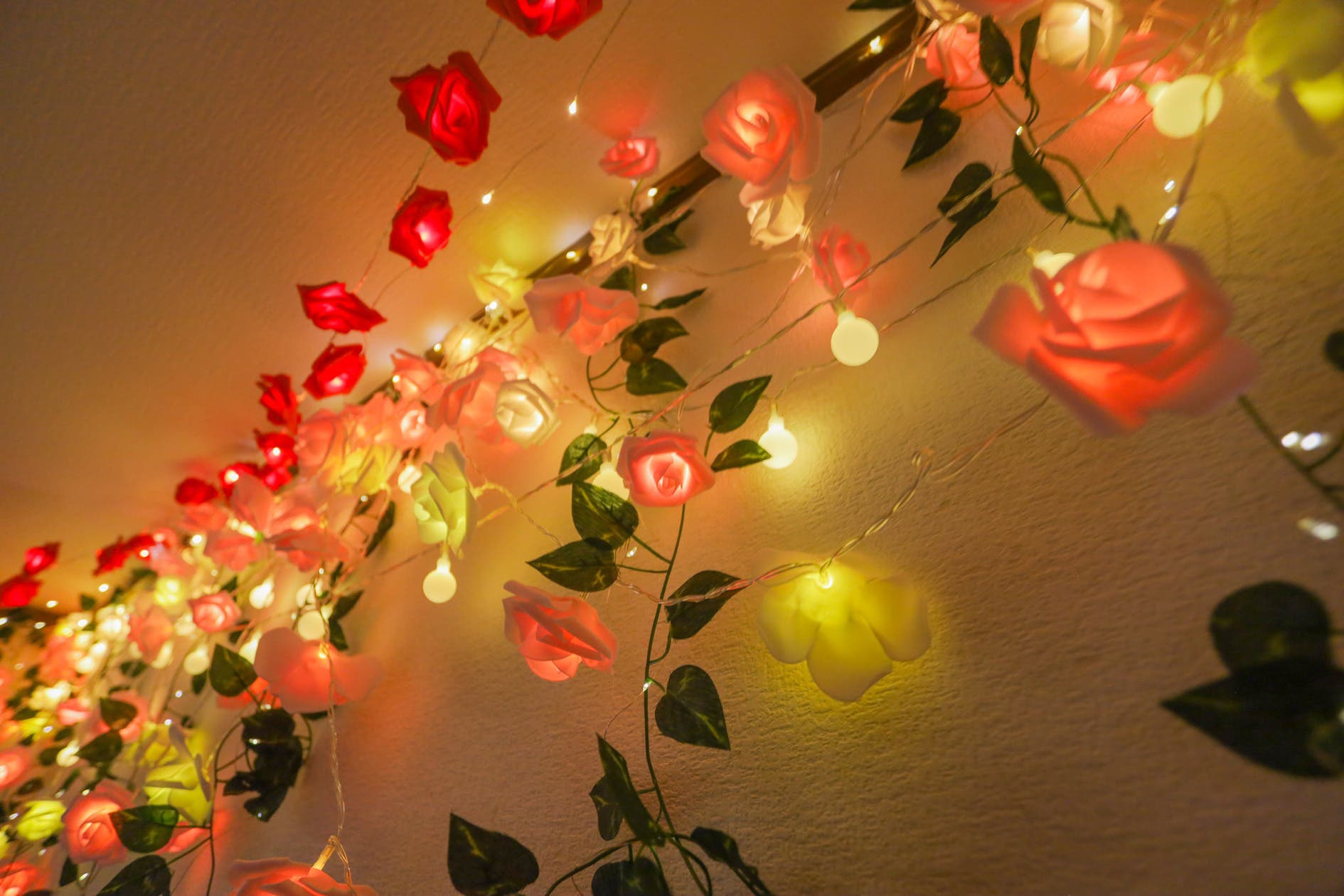 🌟【金山駅徒歩3分】💗ローズガーデンイルミネーション🌹✨声で点灯！誕生日・女子会・推し活・撮影に💖キッチン&夜景もの写真3