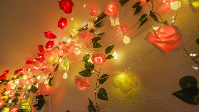 🌟【金山駅徒歩3分】💗ローズガーデンイルミネーション🌹✨声で点灯!誕生日・女子会・推し活・撮影に💖キッチン&夜景もの写真3