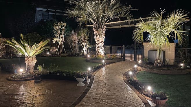 南国風ガーデン×和の坪庭|ペットOKの撮影空間の写真1