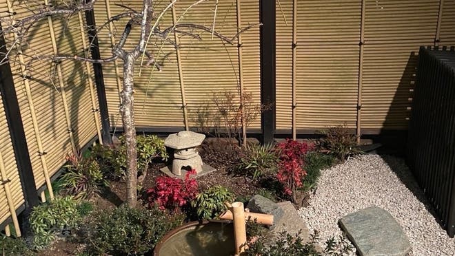 南国風ガーデン×和の坪庭|ペットOKの撮影空間の写真3