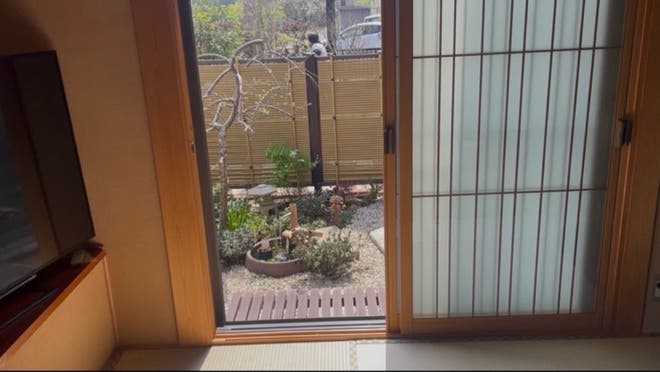 南国風ガーデン×和の坪庭|ペットOKの撮影空間の写真6