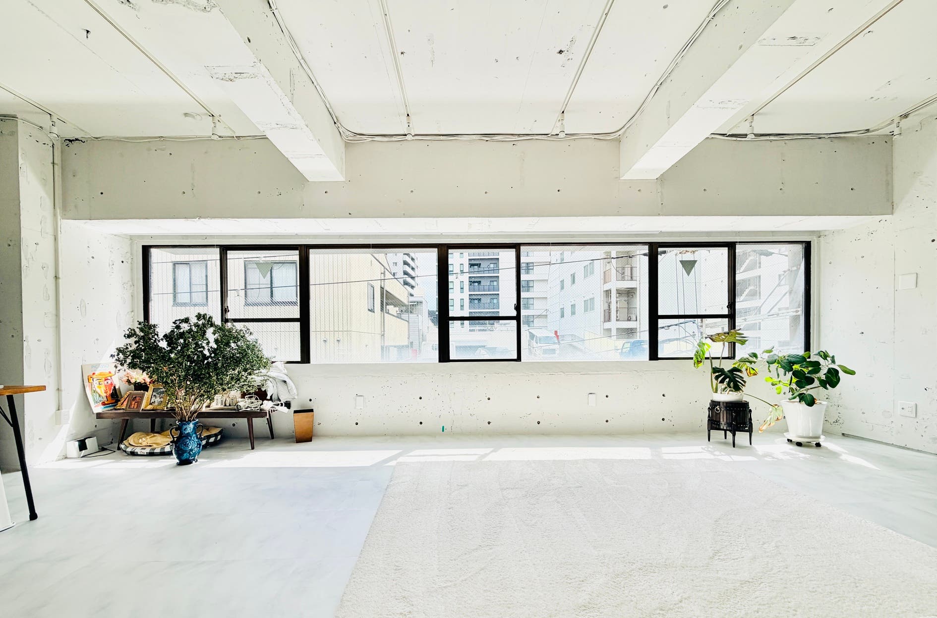 自然光の入る白壁の撮影スタジオ！ヘアセット用にシャワー室完備☆ペット撮影にも♪の写真1