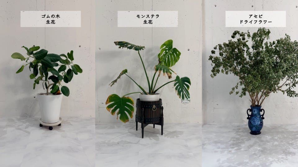 自然光の入る白壁の撮影スタジオ！ヘアセット用にシャワー室完備☆ペット撮影にも♪の写真18