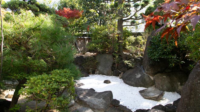 【古民家】 大阪市/瑞光四丁目駅から徒歩3分/築70年/坪庭の写真9