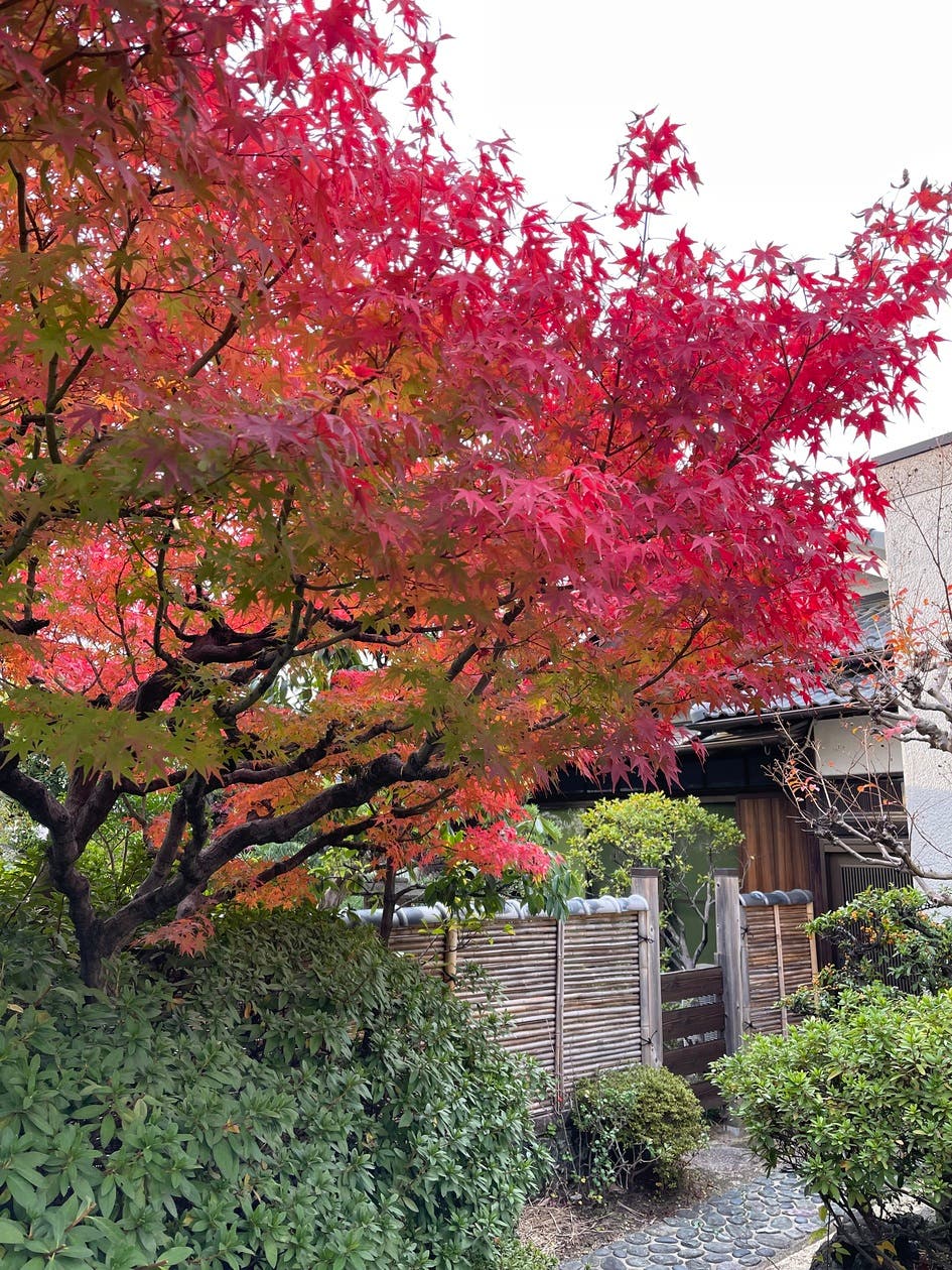 【古民家】  大阪市/瑞光四丁目駅から徒歩３分/築70年/坪庭の写真28