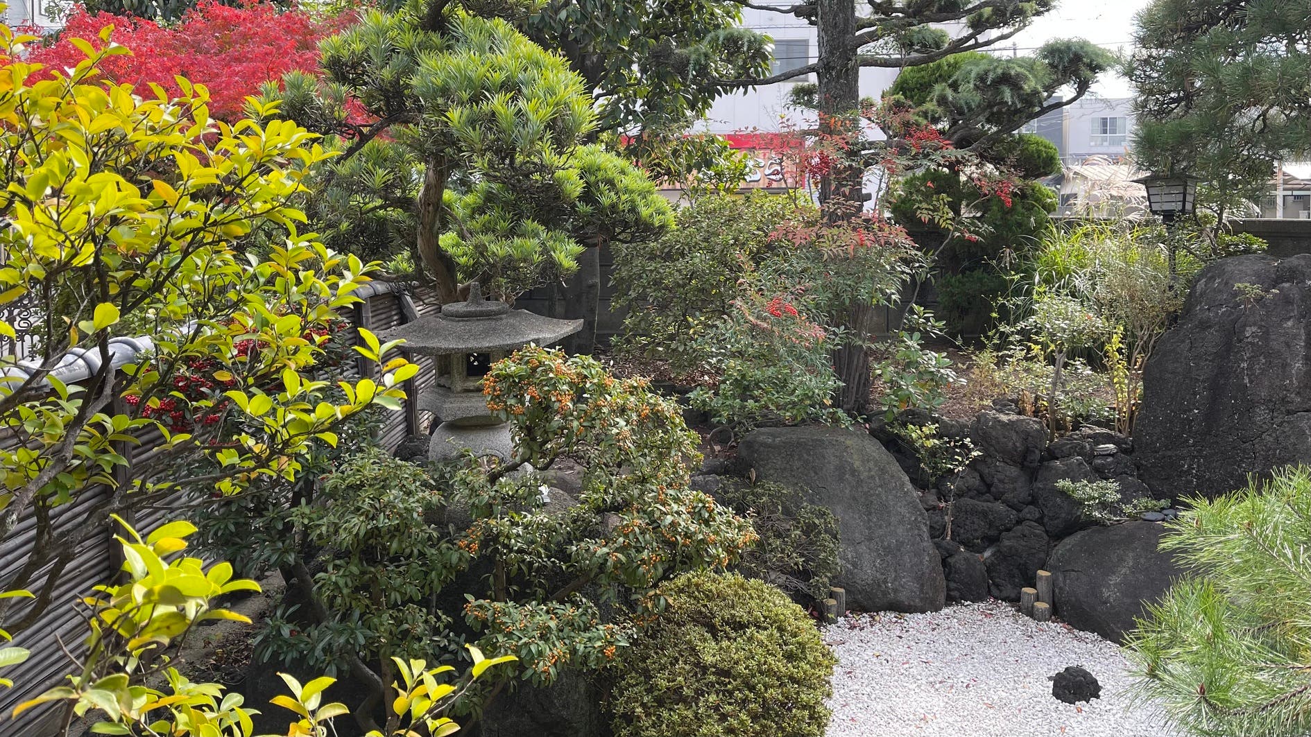 【古民家】  大阪市/瑞光四丁目駅から徒歩３分/築70年/坪庭の写真10