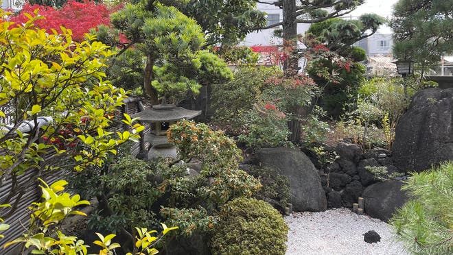 【古民家】 大阪市/瑞光四丁目駅から徒歩3分/築70年/坪庭の写真10