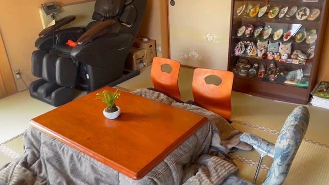 南国風ガーデン×和の坪庭|ペットOKの撮影空間の写真8