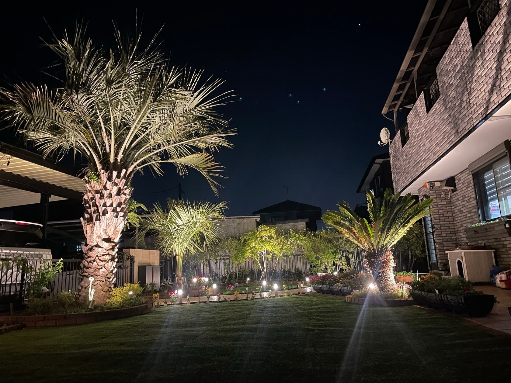 南国風ガーデン×和の坪庭｜ペットOKの撮影空間の写真9