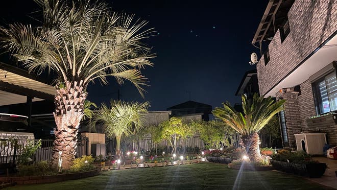 南国風ガーデン×和の坪庭|ペットOKの撮影空間の写真9