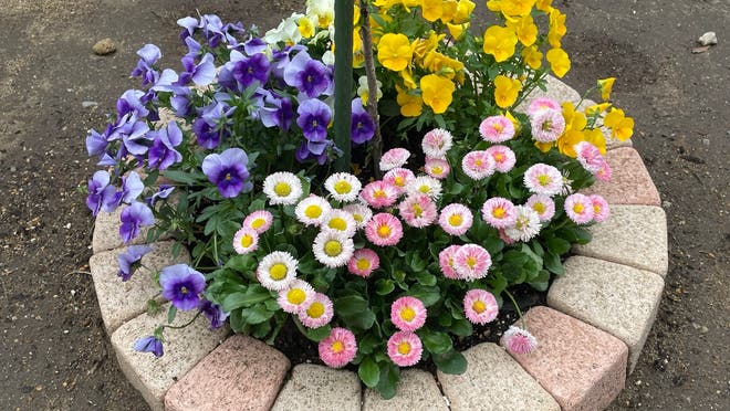 南国風ガーデン×和の坪庭|ペットOKの撮影空間の写真14