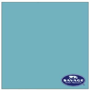 背景紙追加_SAVAGE サベージ   2.72×11m    No.2 スカイブルーの画像1