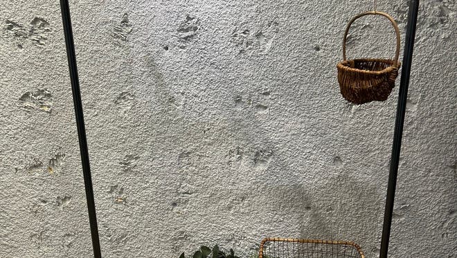 レンタルサロン・個室☆ネイリスト☆アイリスト☆カウンセリング☆ポップアップ☆出張販売などの写真4