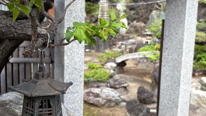 無料駐車スペース有🚗撮影📸ママ会☕パーテイー🍕etc【ちとせの平屋】の写真22