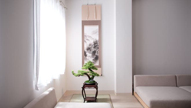 盆栽と掛け軸が迎える畳×ソファの和空間|市ヶ谷5分|最大24名・パーティー/撮影/会議の写真6