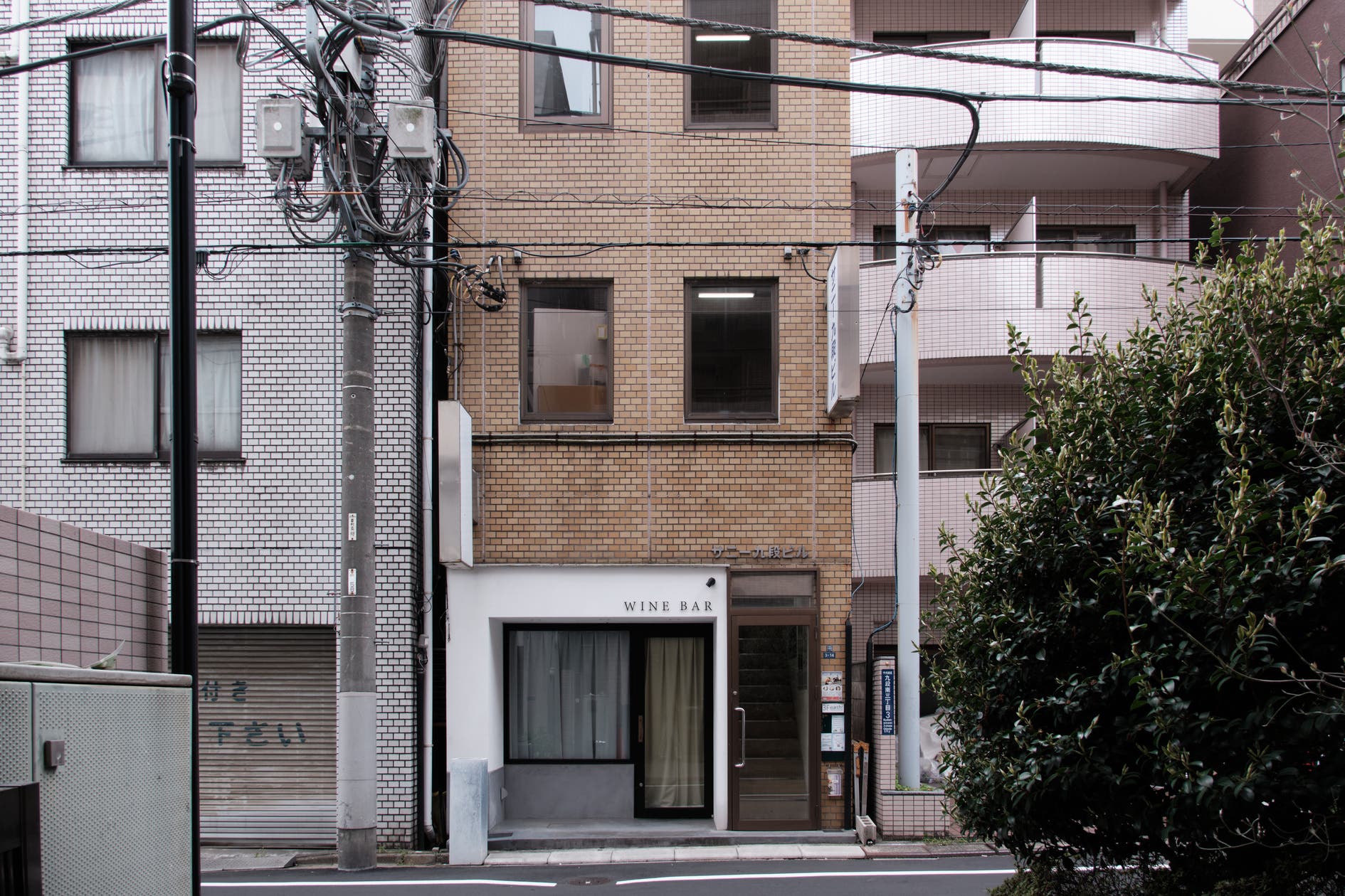 盆栽と掛け軸が迎える畳×ソファの和空間｜市ヶ谷5分｜最大24名・パーティー/撮影/会議の写真18