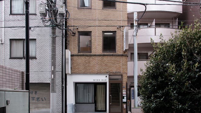 盆栽と掛け軸が迎える畳×ソファの和空間|市ヶ谷5分|最大24名・パーティー/撮影/会議の写真21