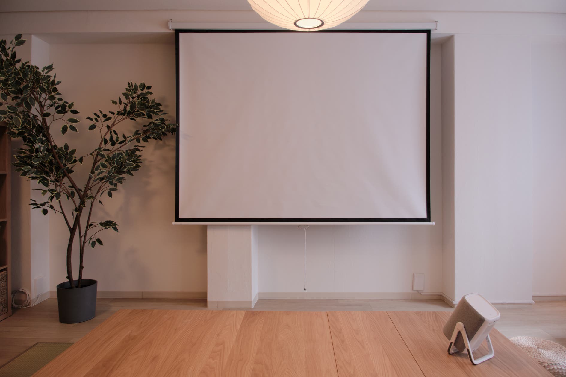 盆栽と掛け軸が迎える畳×ソファの和空間｜市ヶ谷5分｜最大24名・パーティー/撮影/会議の写真19