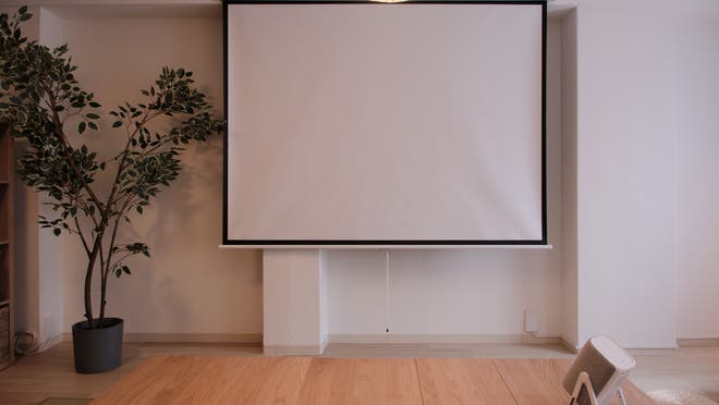 盆栽と掛け軸が迎える畳×ソファの和空間|市ヶ谷5分|最大24名・パーティー/撮影/会議の写真14