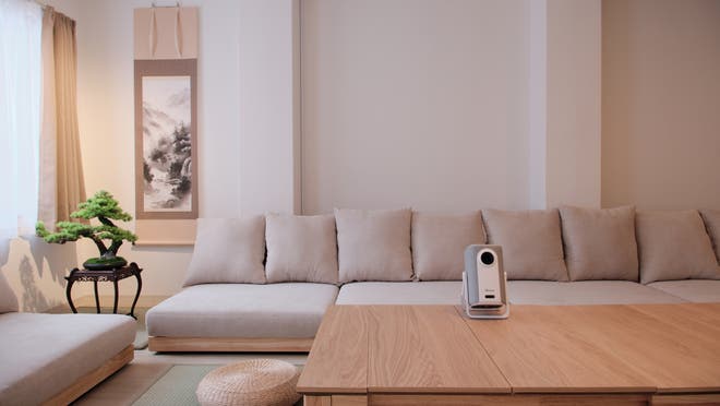 盆栽と掛け軸が迎える畳×ソファの和空間|市ヶ谷5分|最大24名・パーティー/撮影/会議の写真3