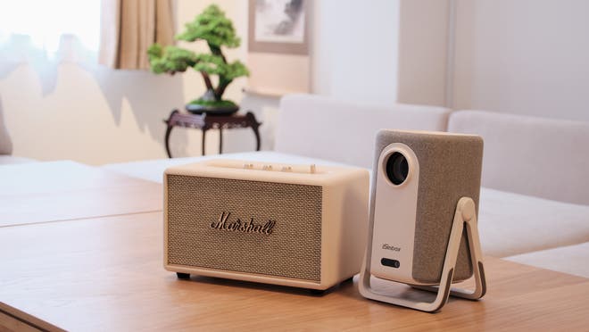 盆栽と掛け軸が迎える畳×ソファの和空間|市ヶ谷5分|最大24名・パーティー/撮影/会議の写真12