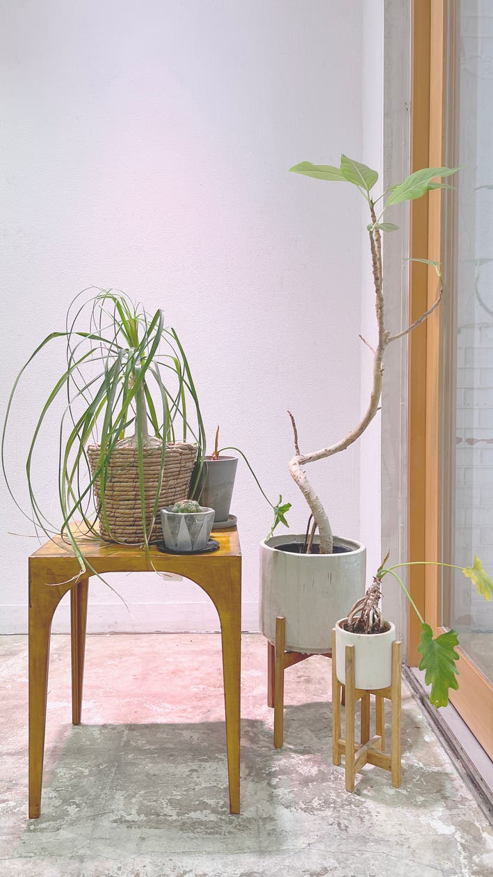 【馬喰町徒歩1分】倉庫を1棟リノベーションした格安おしゃれギャラリー（Bスペース2フロア50㎡）の写真8