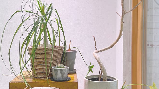 【馬喰町徒歩1分】倉庫を1棟リノベーションした格安おしゃれギャラリー(Bスペース2フロア50㎡)の写真8