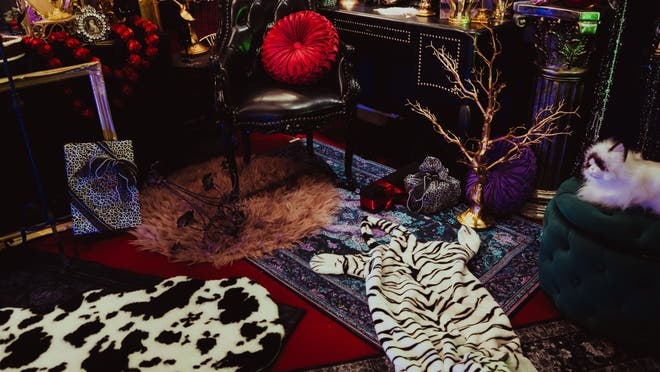 ダークでミステリアスなヴィランコンセプトのスタジオ🖤東十条駅徒歩5分のキャラモード系列5号店!の写真8