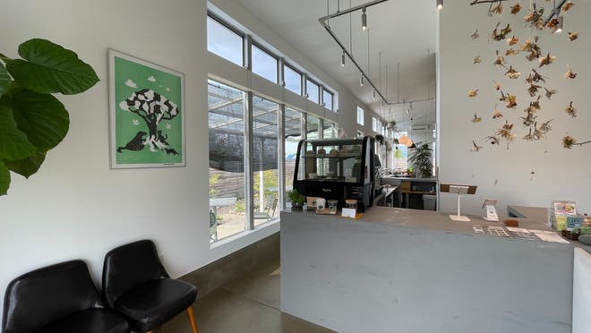 駐車場13台付 植物がいっぱいのスタイリッシュな内装とテラス席のあるカフェ ワークショップ、セミナー、イベントスペースにの写真10