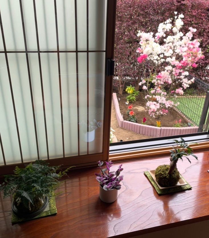 南国風ガーデン×和の坪庭｜ペットOKの撮影空間の写真16