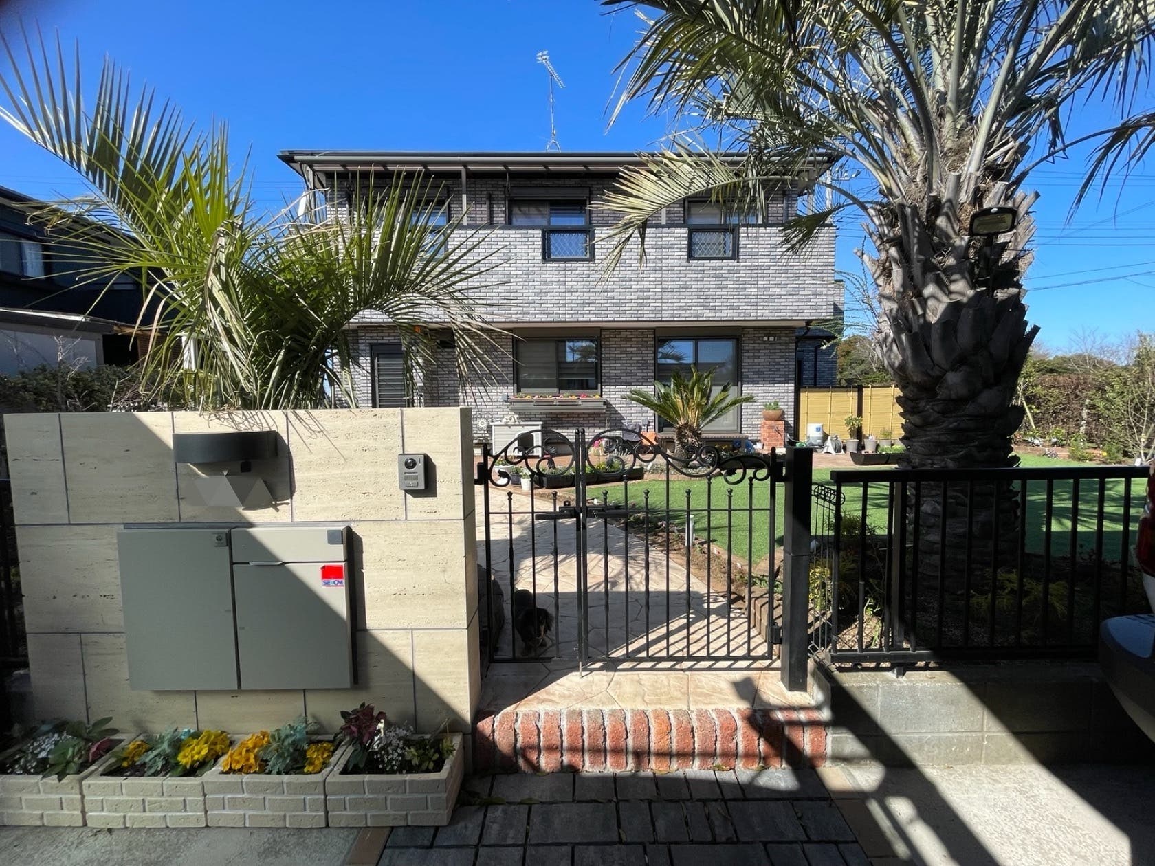 南国風ガーデン×和の坪庭｜ペットOKの撮影空間の写真18