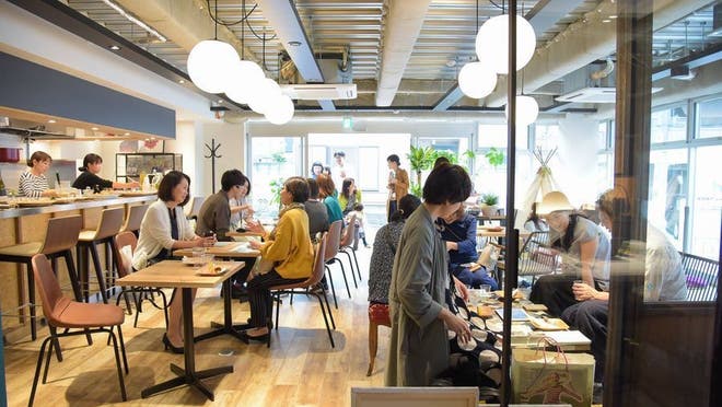 【自然光×植物×閑静な住宅街】撮影・研修・イベントに選ばれる都心の非日常空間|参宮橋駅3分の写真8