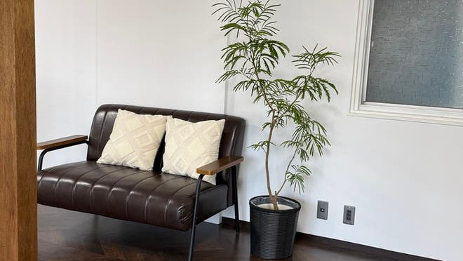 西武線花小金井から3分の立地の写真8